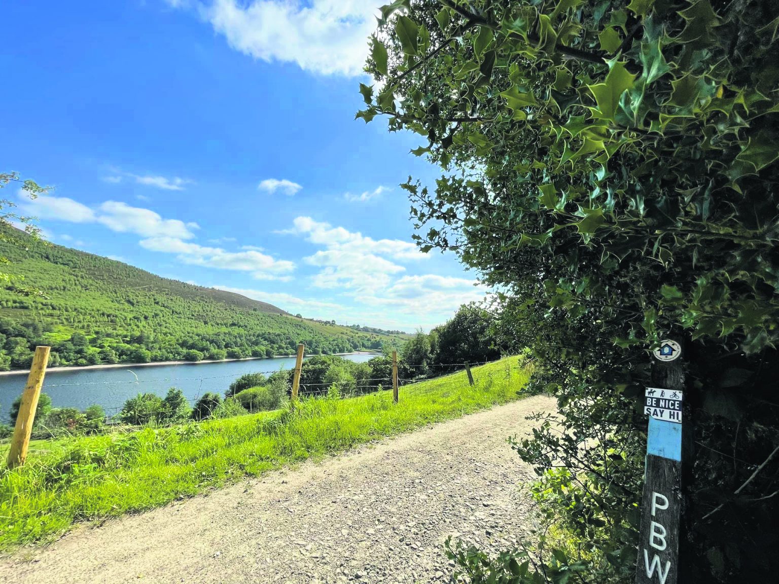 Help spruce up Tameside’s green spaces - Tameside Correspondent