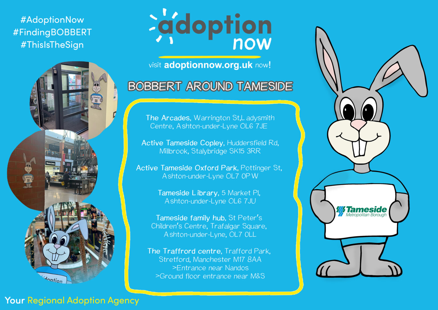 Bunny hunt hops into action for adoption awareness - Tameside Correspondent