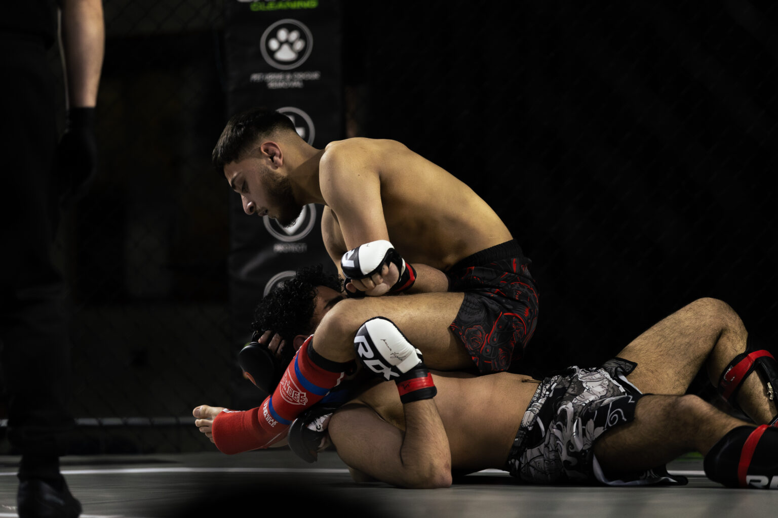 More MMA success for Tameside-based Top Team - Tameside Correspondent
