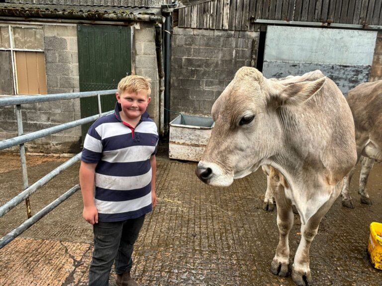 Families flock to open farm event in Tameside - Tameside Correspondent